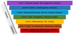 Seven Levels of Energy - Cyndi Combs Coaching